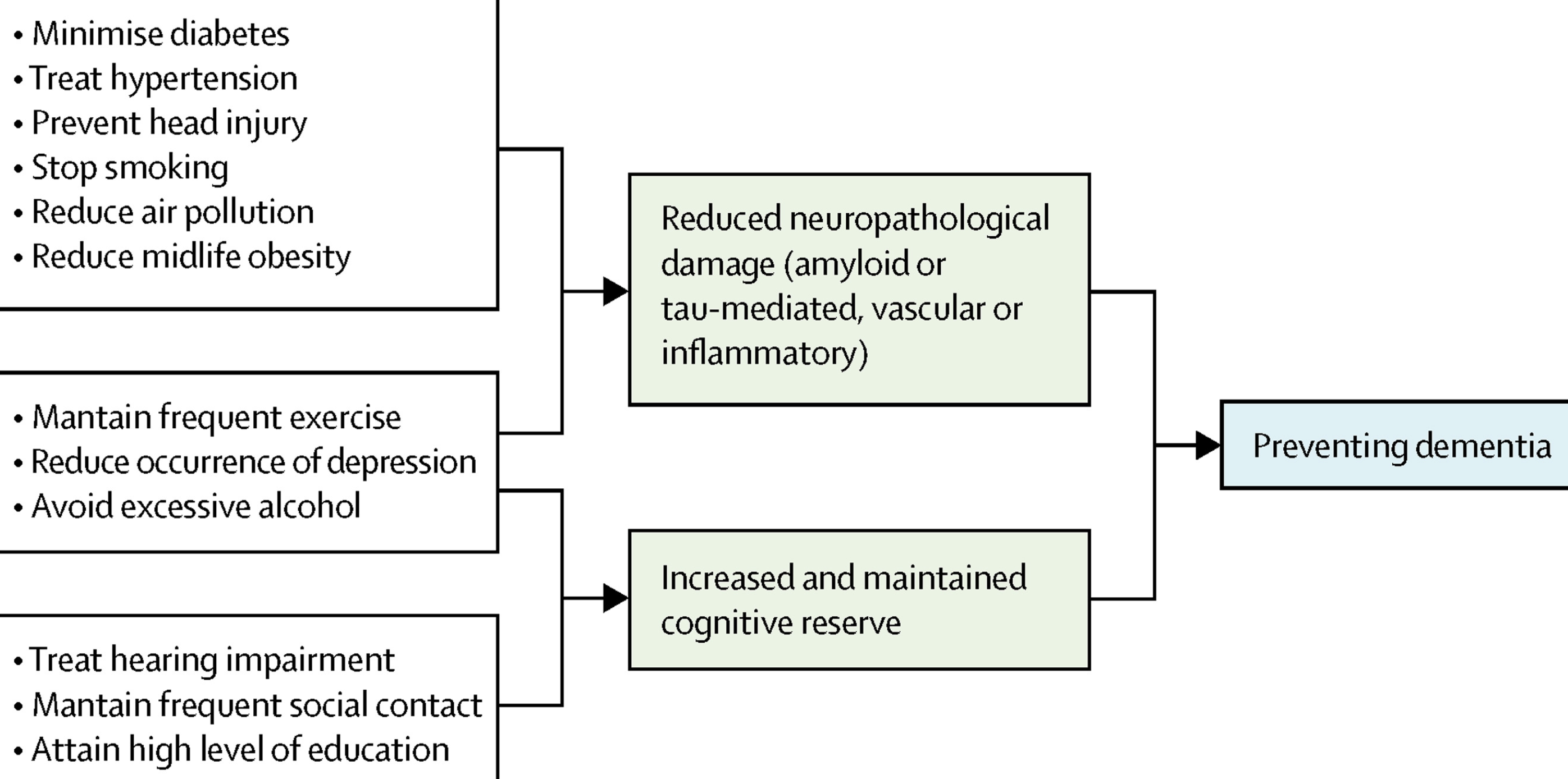 Dementia Risk Prevention THe Lancet 2020 - Dr. Maroon